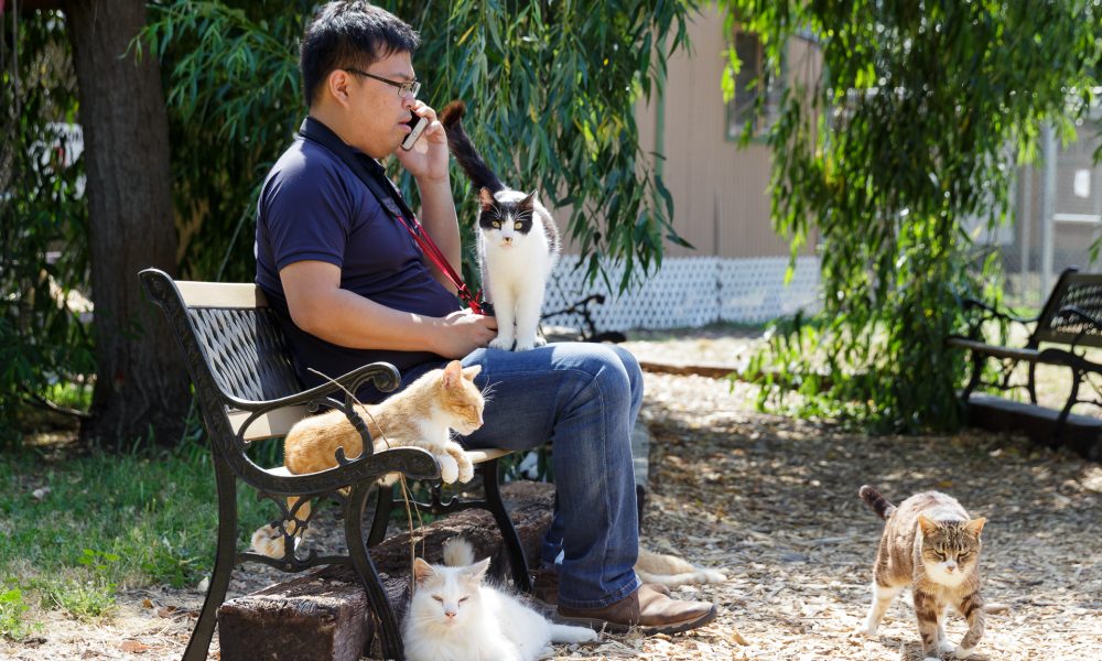 Meet Charles Lin of Linn Images in South West - Voyage Houston Magazine ...