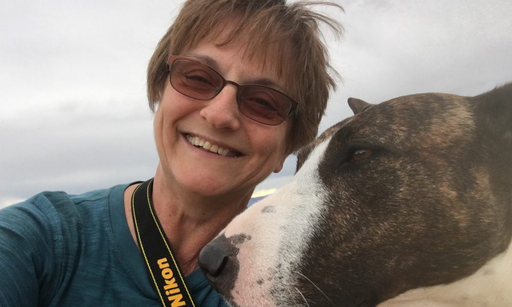 Check out Kathy Combs's Artwork - Voyage Houston Magazine | Houston ...