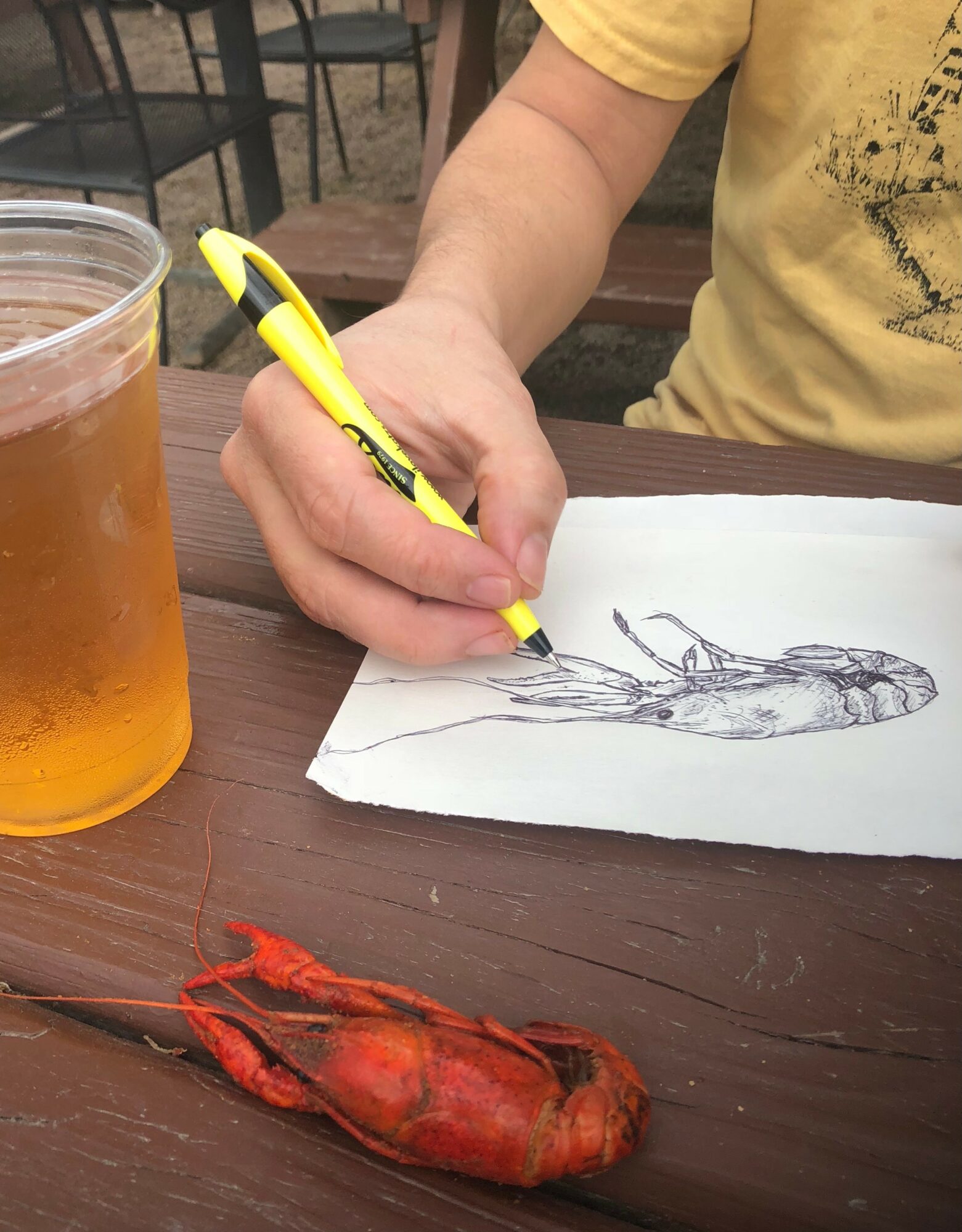 Rising Stars: Meet Alex Rosas - Voyage Houston Magazine | Houston City ...