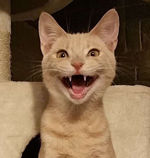 Rising Stars: Meet Mimi Baker - Voyage Houston Magazine | Houston City Guide