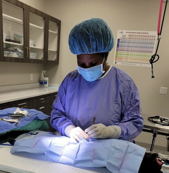 Exploring Life & Business with Erica Johnson of Neighborhood Veterinary ...