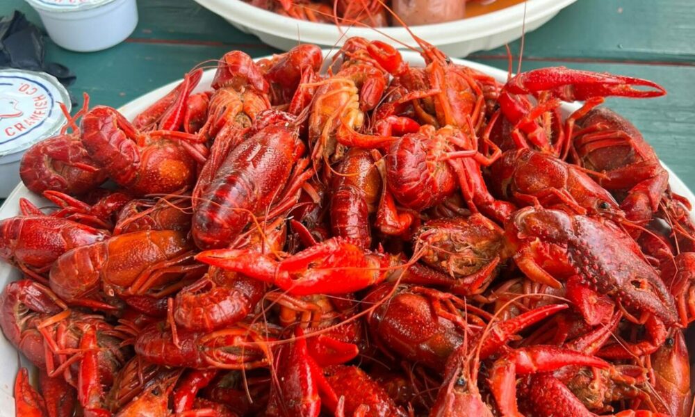 Community Highlights: Meet Colton Goff of Texas Crawfish Company ...