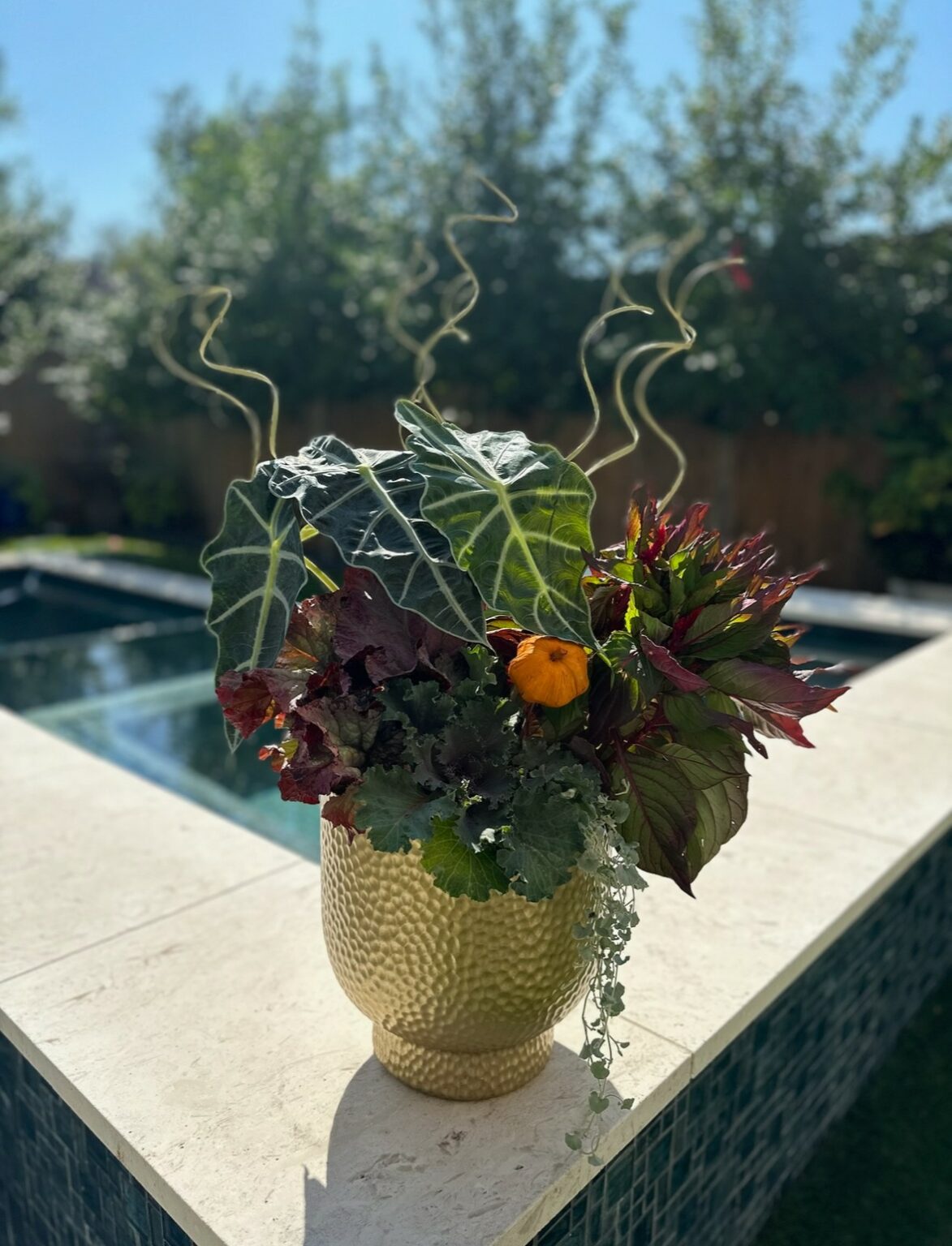 Meet Melissa Ashlin & Meghan Lutschg of The Perfect Pot Based in ...